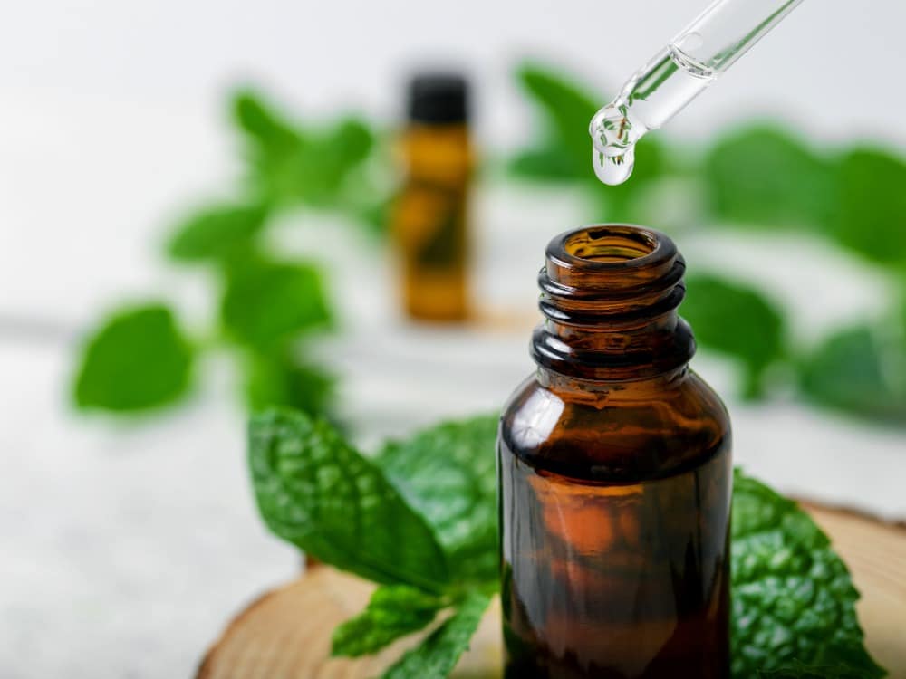 Revitalize Your Skin with Peppermint Oil: Benefits and Uses - Waxelene